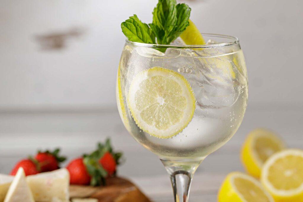 Receitas de drinks com gin - Gin Sabores